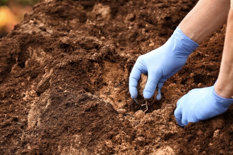 Better Sanitation With Effective Soil Testing For Septic Systems